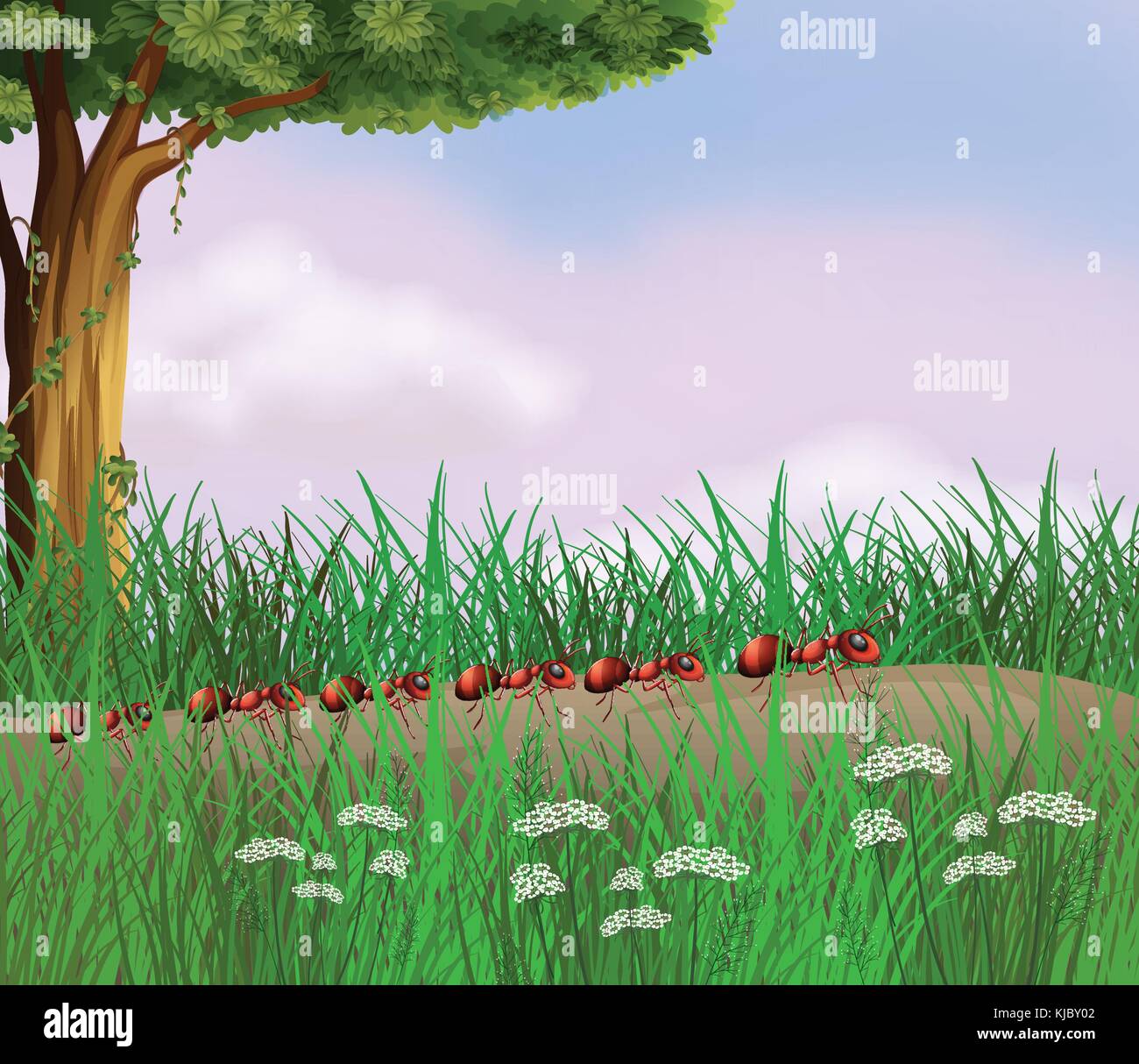 Ants line walk grass hi-res stock photography and images - Alamy