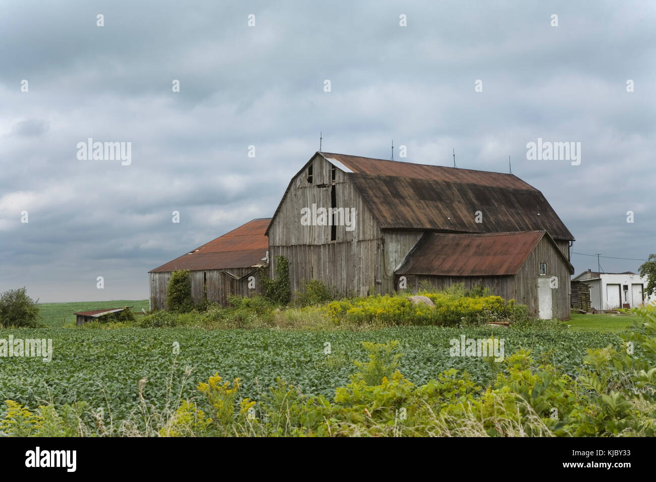Canada, Ontario, rural, agricultural, landscape Stock Photo - Alamy