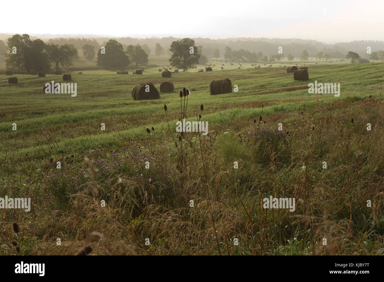 Canada, Ontario, rural, agricultural, landscape Stock Photo - Alamy