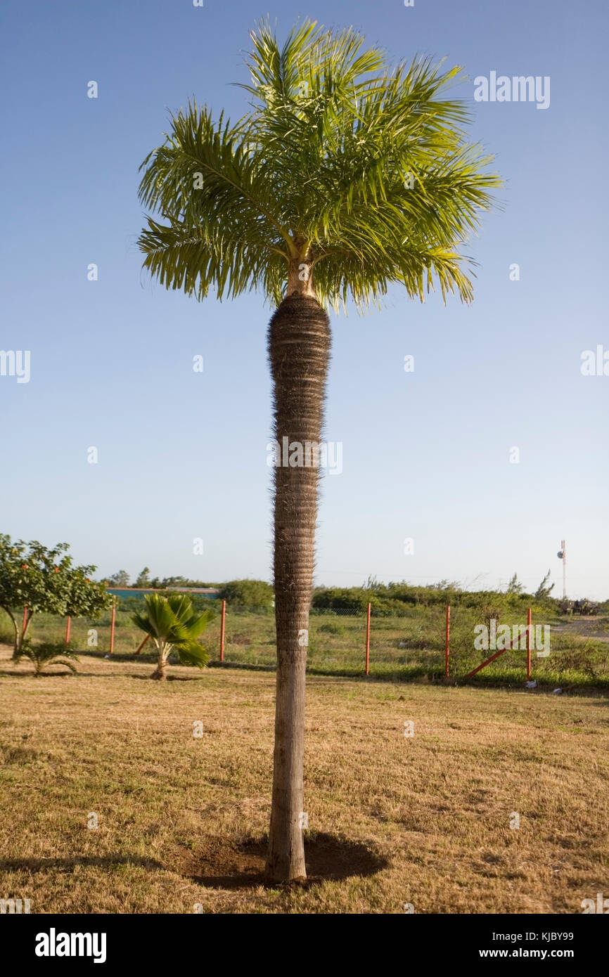 Silver date hi-res stock photography and images - Alamy