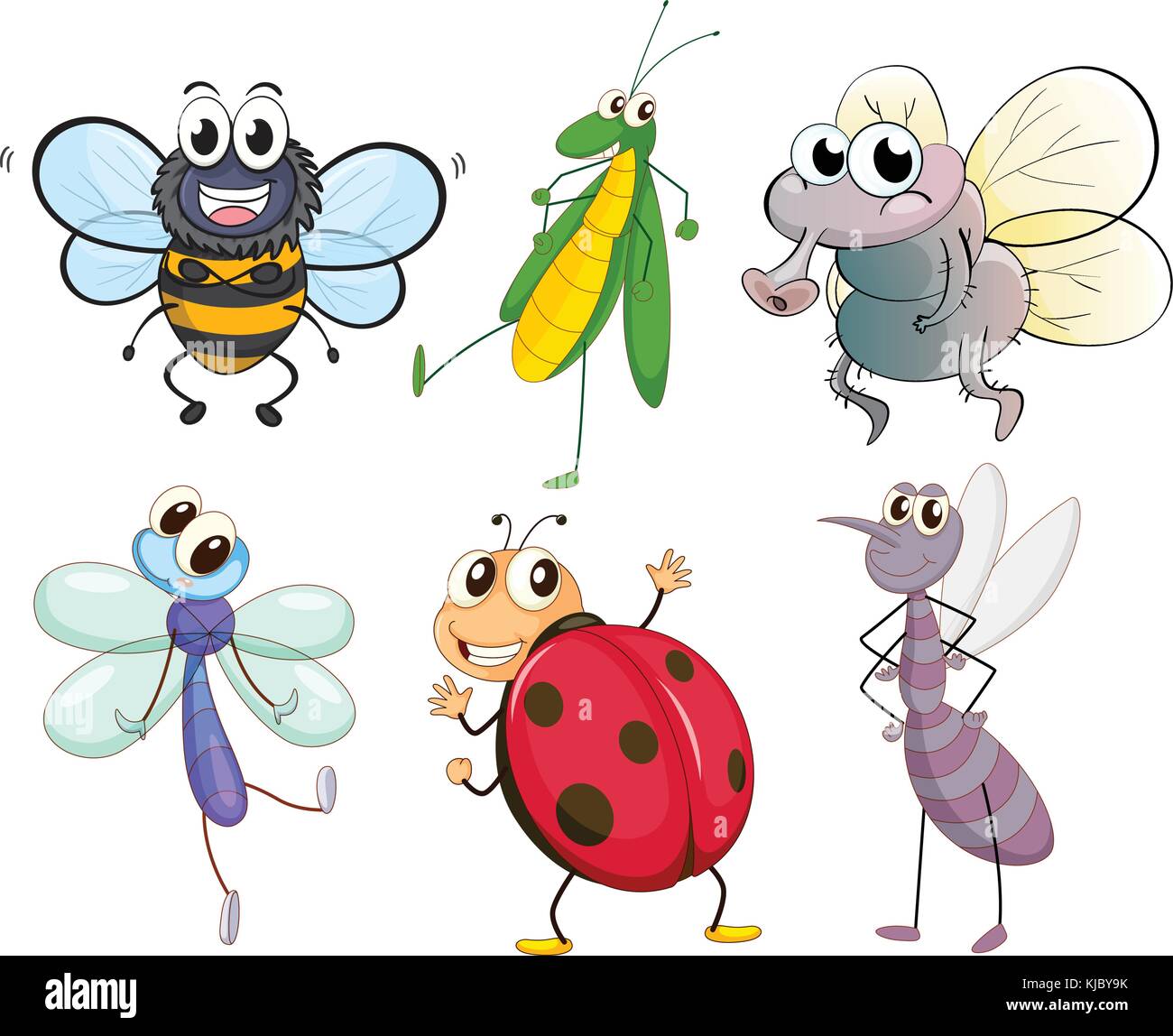 Illustration of the different insects on a white background Stock ...