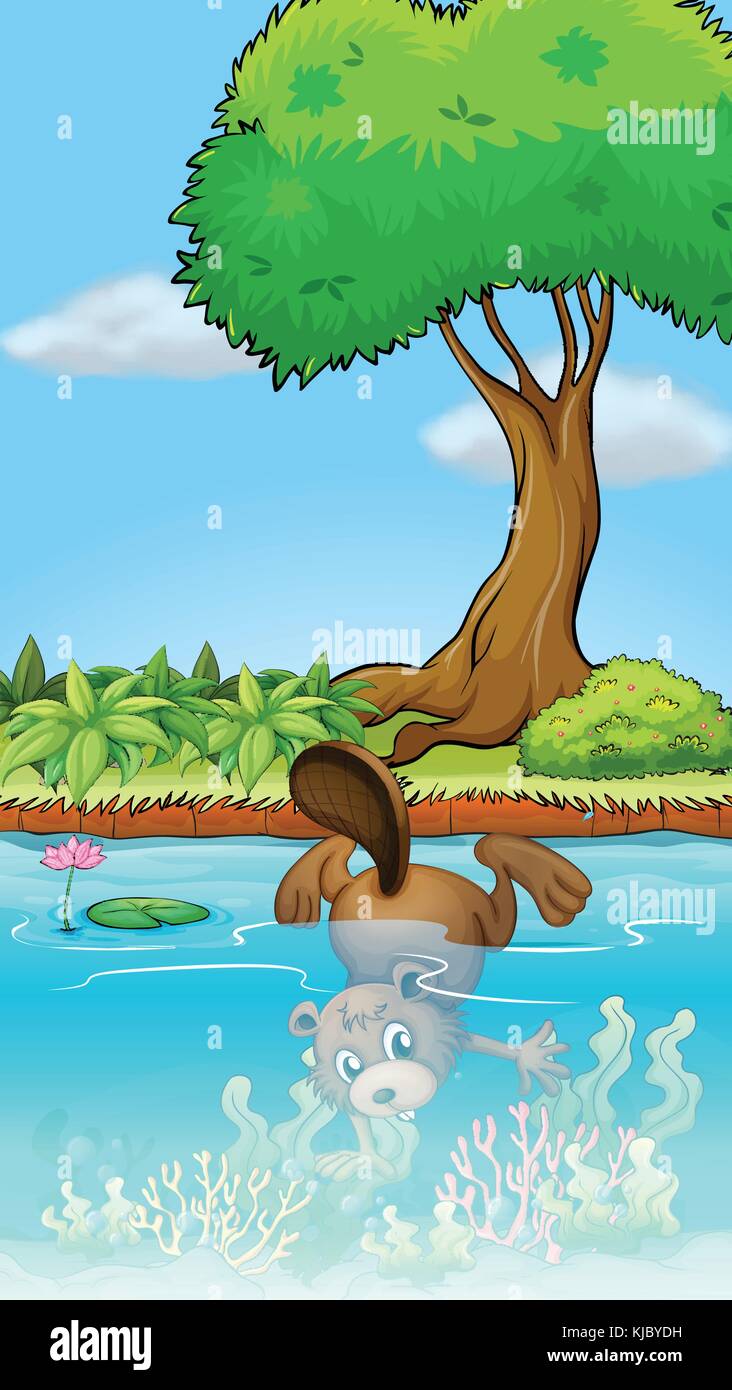 Illustration of a beaver diving underwater Stock Vector Image & Art - Alamy