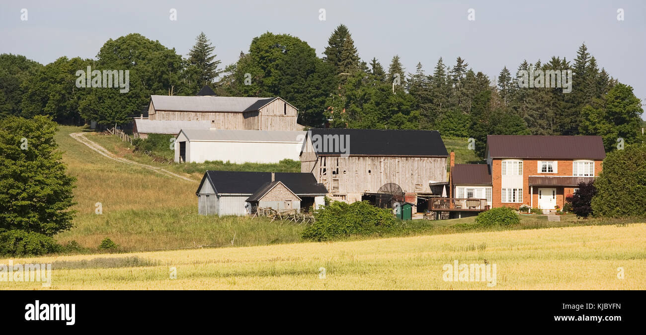 Canada, Ontario, rural, agricultural, landscape Stock Photo - Alamy