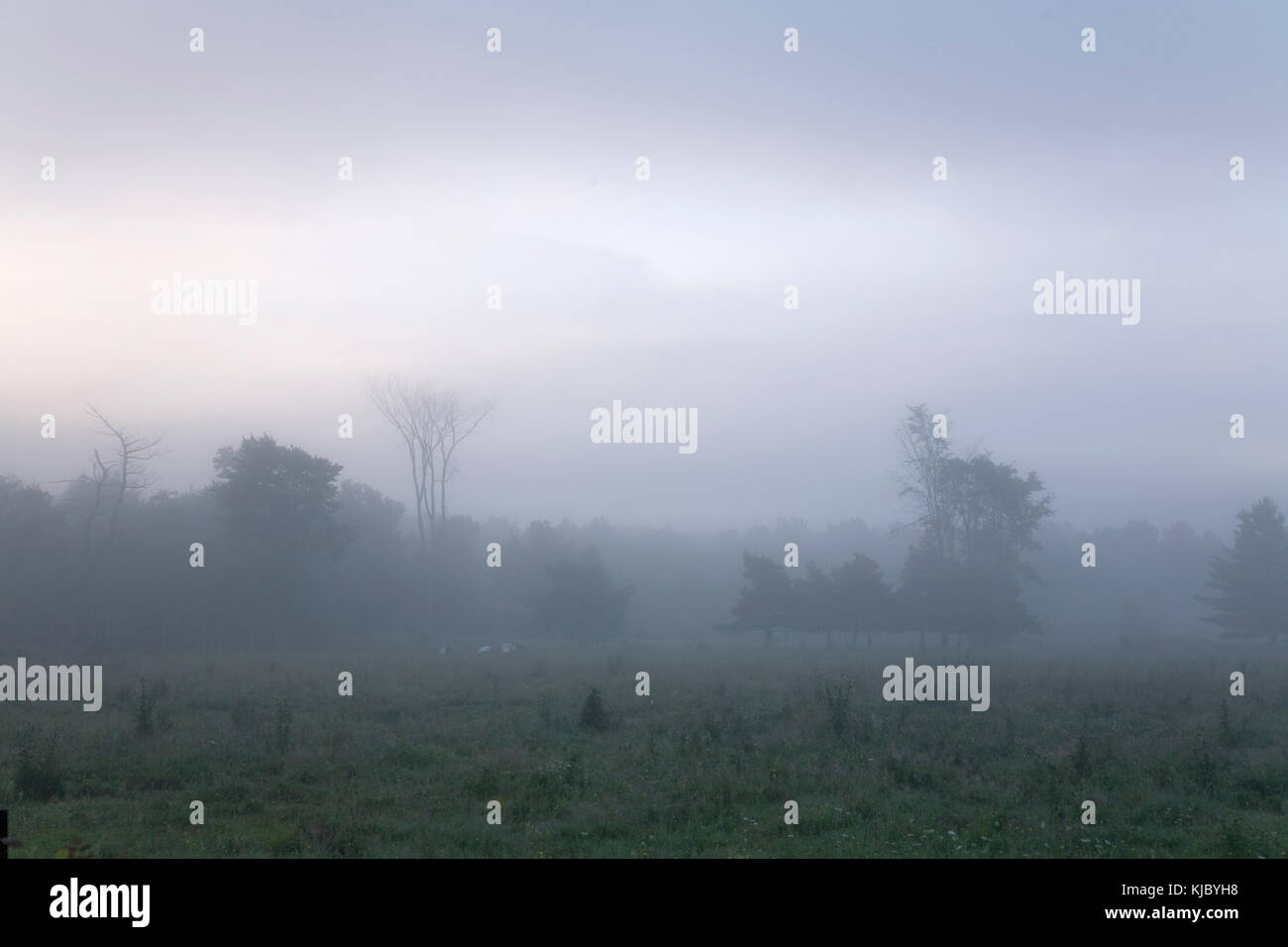 Canada, Ontario, rural, agricultural, landscape Stock Photo - Alamy
