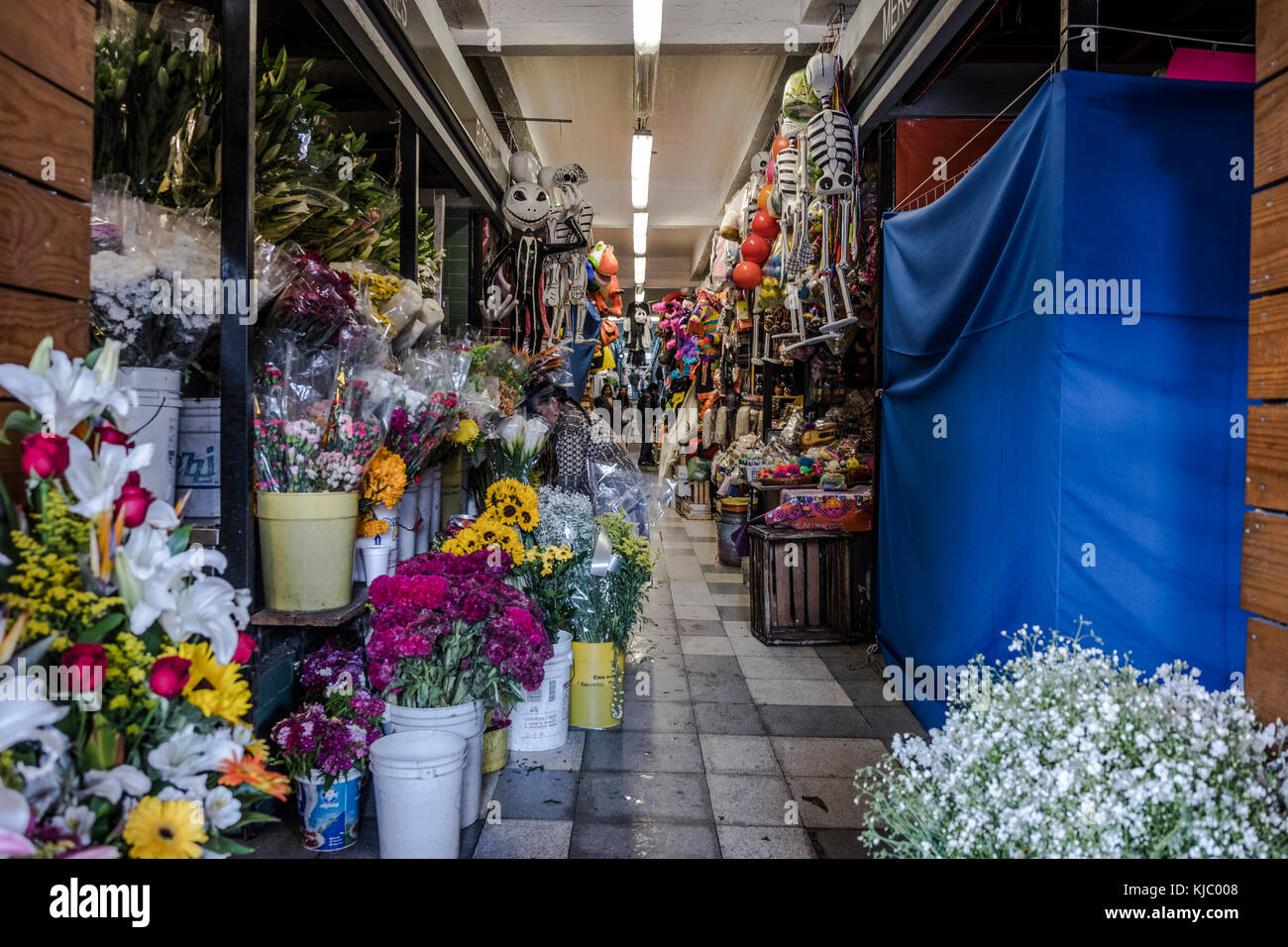 San Angel Market. Mercado de San Angel, Mexico City Stock Photo - Alamy