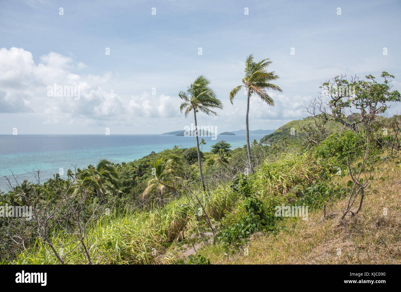 Stunning Pacific Ocean waters and lush, tropical greenery under a blue ...
