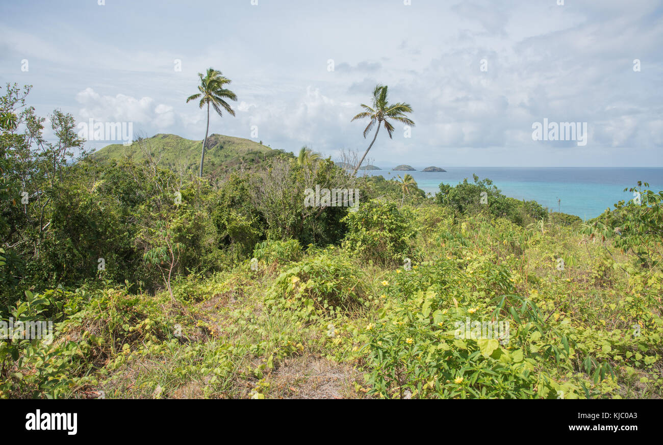 Stunning Pacific Ocean waters and lush, tropical greenery under a blue ...
