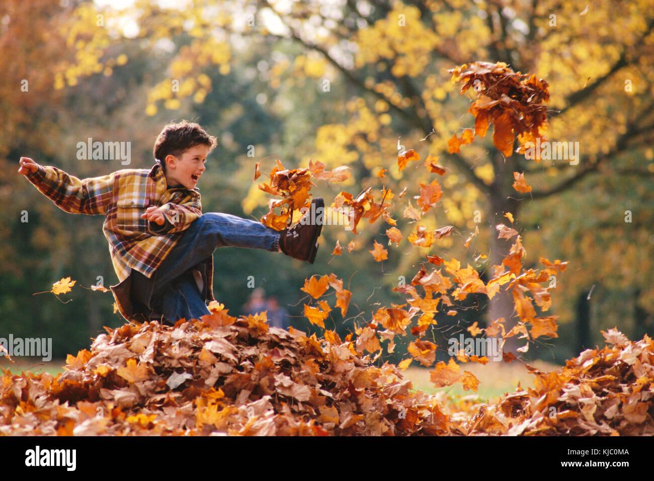 Boy Playing in Leaves Stock Photo - Alamy