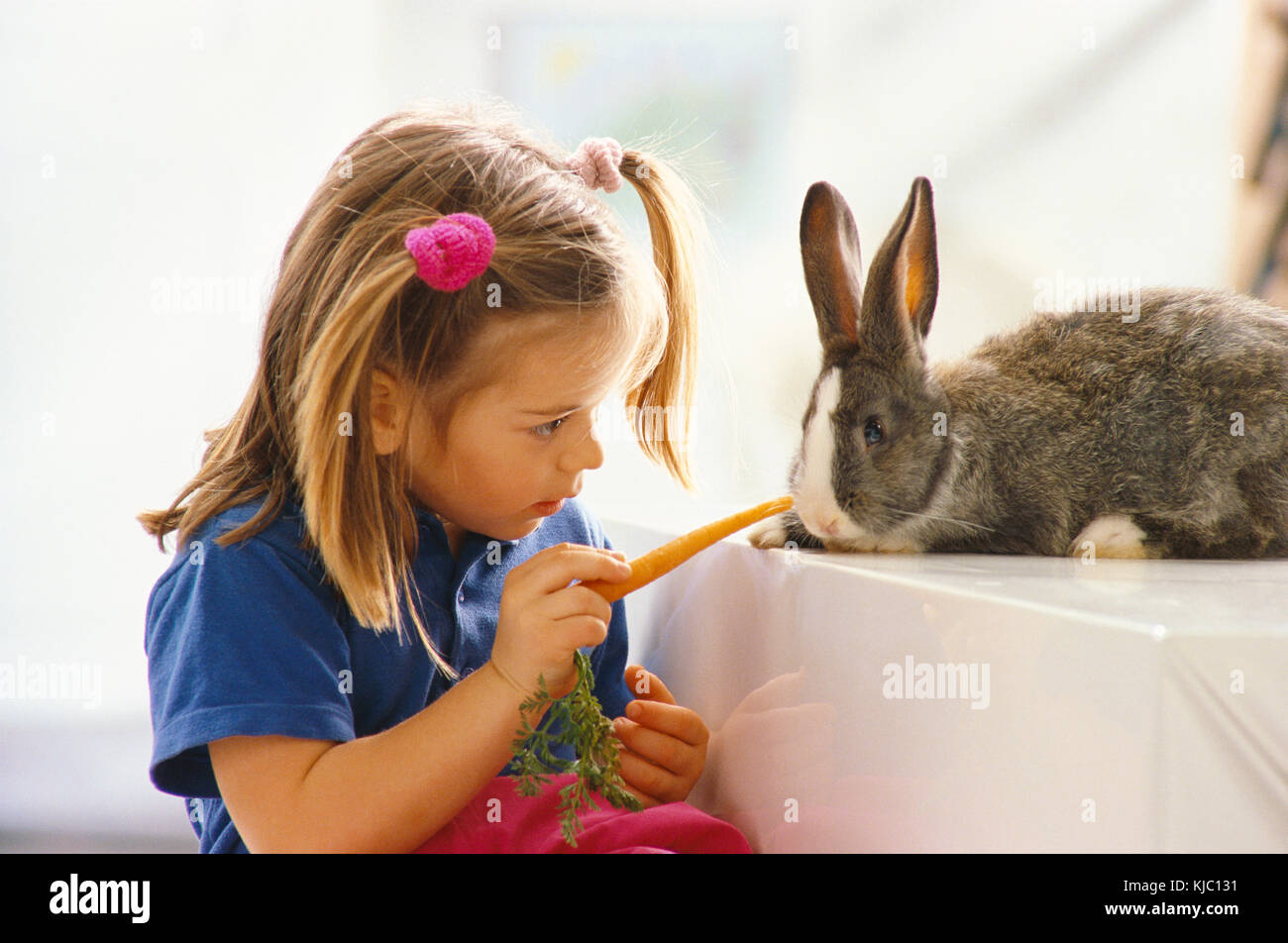 Girl with Rabbit Stock Photo - Alamy