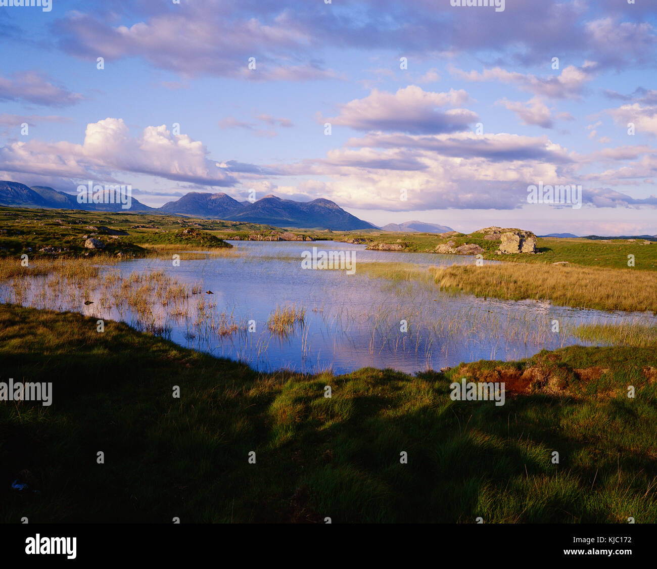 Irish bog images hi-res stock photography and images - Alamy