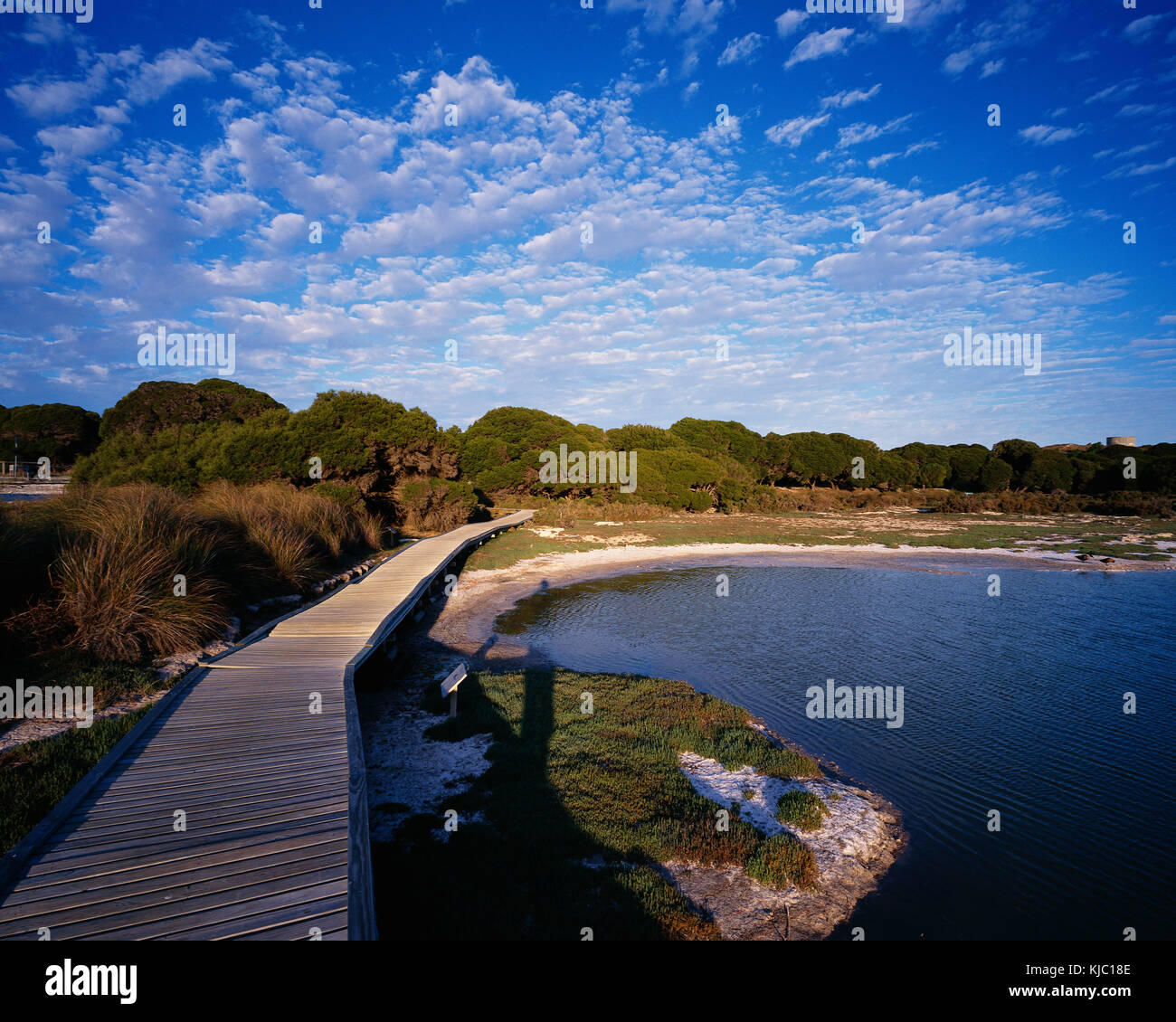 Bridge, Rottnest Island, Perth, Australia Stock Photo - Alamy