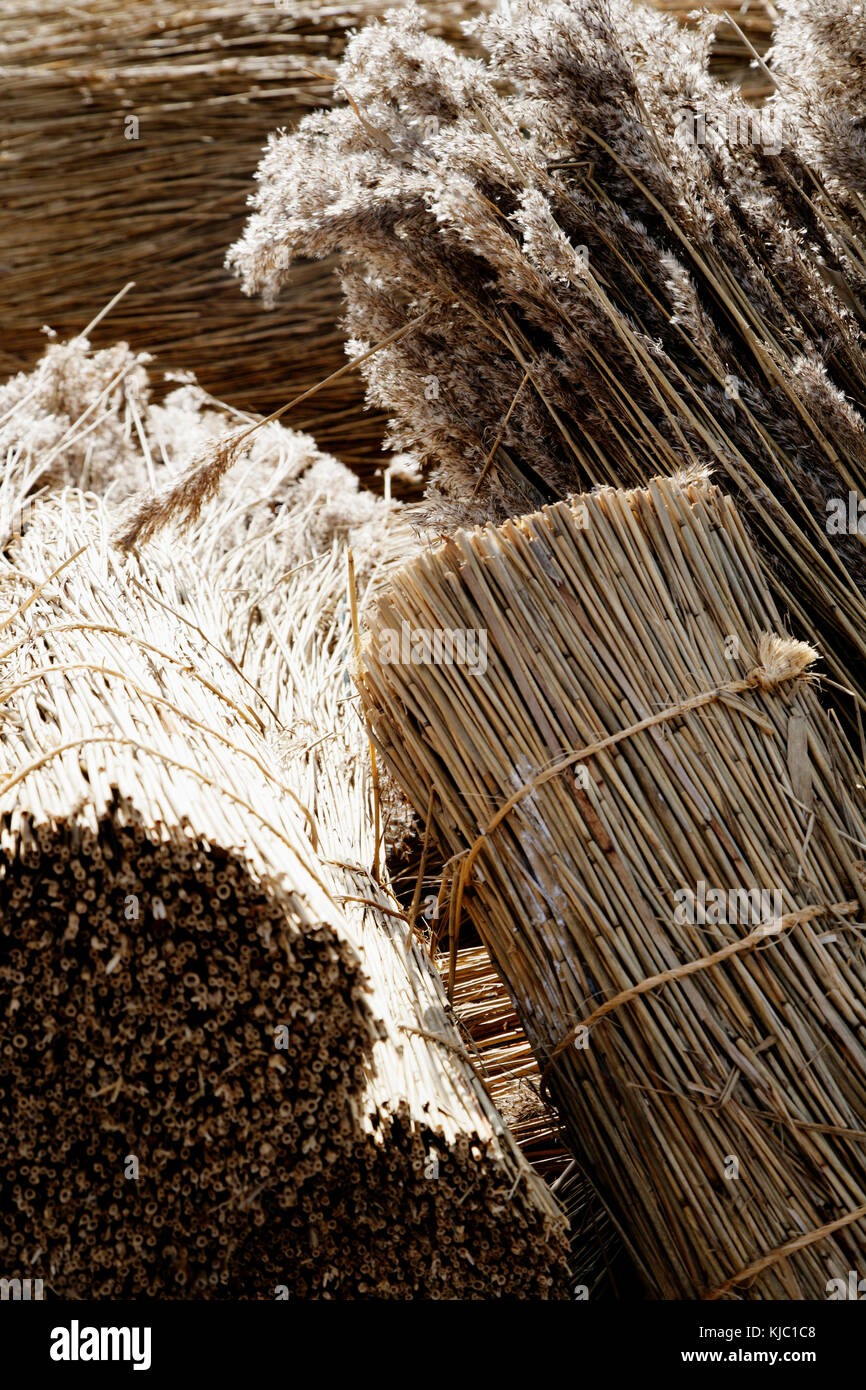 Bound reeds hi-res stock photography and images - Alamy