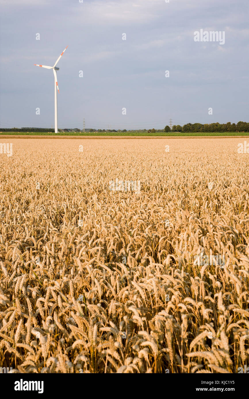 Wind Turbine in Field Stock Photo - Alamy