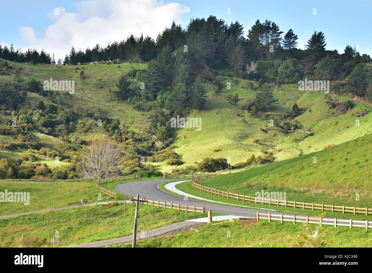 Puhoi new zealand hi-res stock photography and images - Alamy