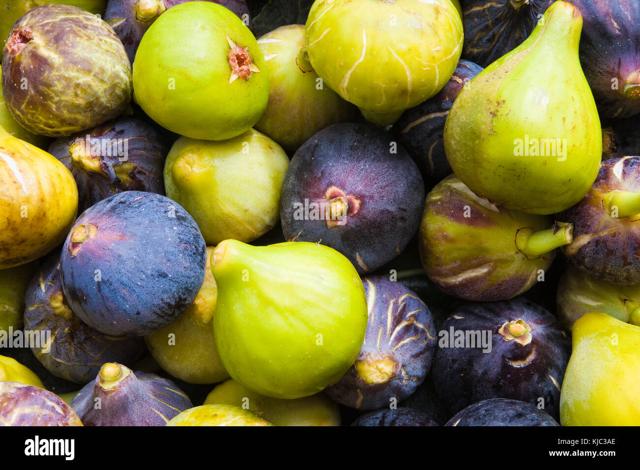 Close-up of Figs Stock Photo - Alamy