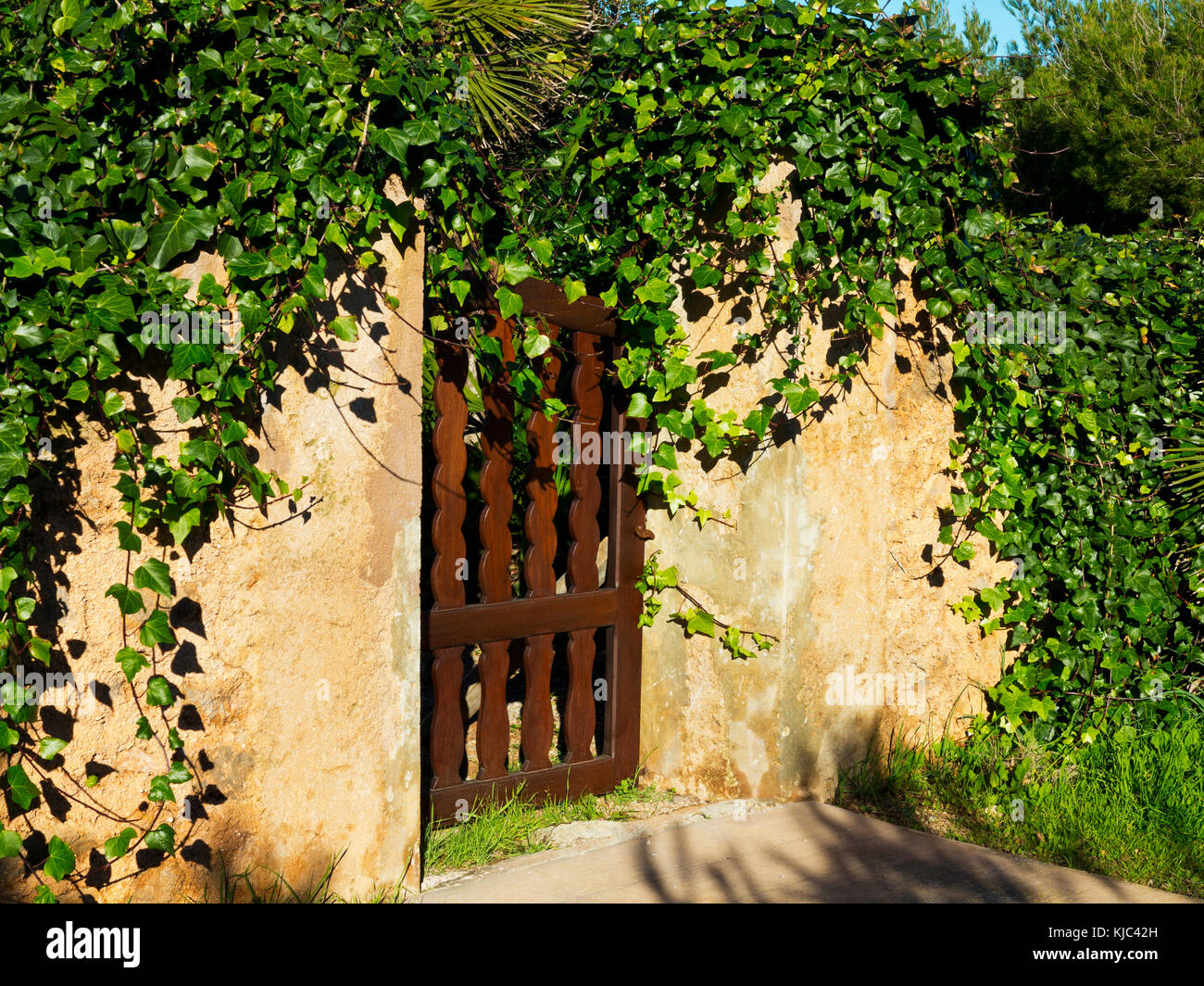 Overgrown Garden Door 1,160 Overgrown Door Stock Photos, High Res
