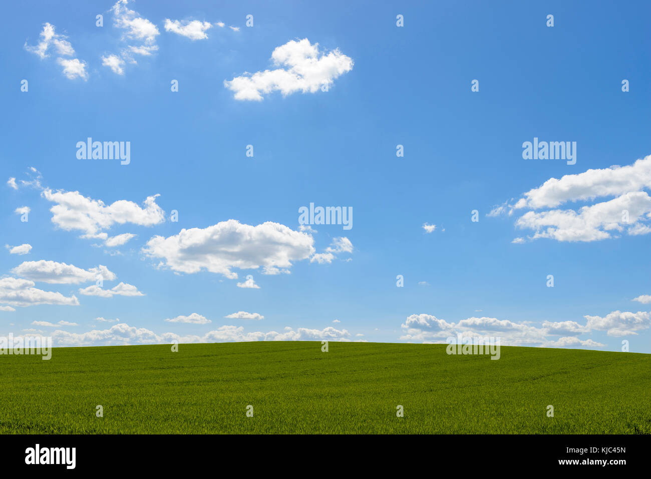 Grainfield with Sky and Clouds in Spring, Baden-Wurttemberg, Germany ...