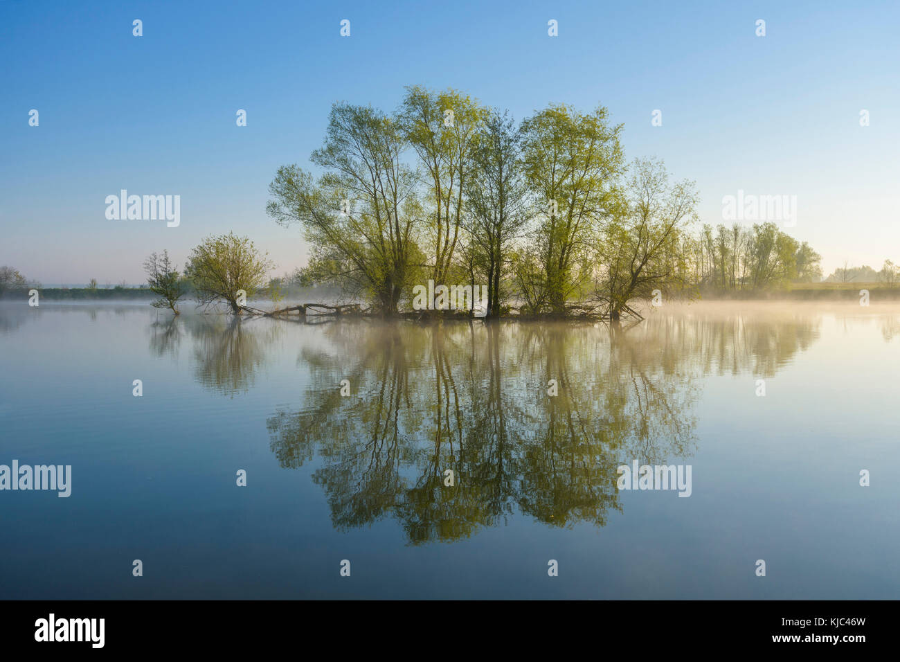 Lake with Island with Trees and Morning Mist, Streudorf, Lake ...