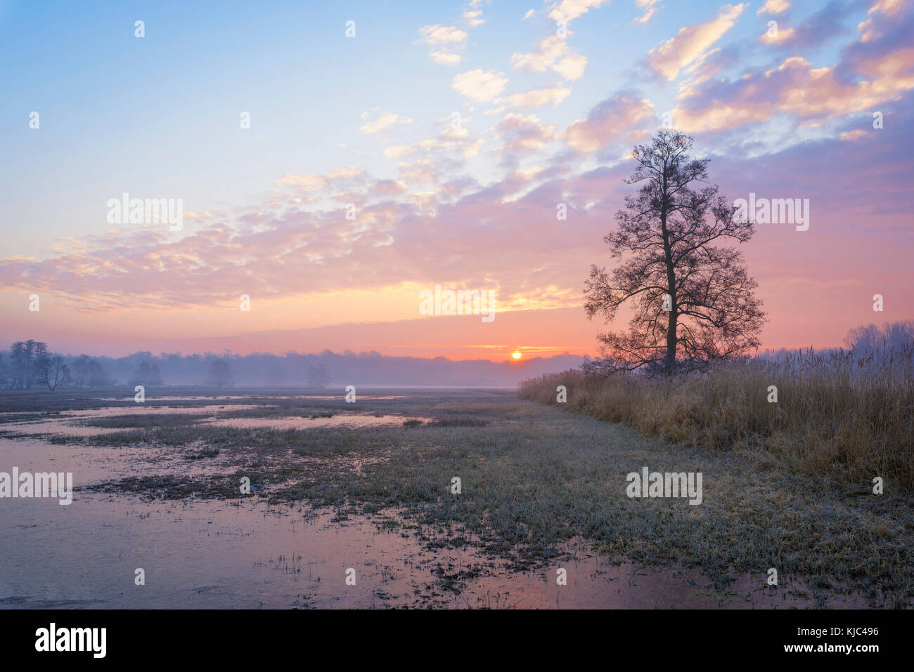 Sunrise in wetlands hi-res stock photography and images - Alamy