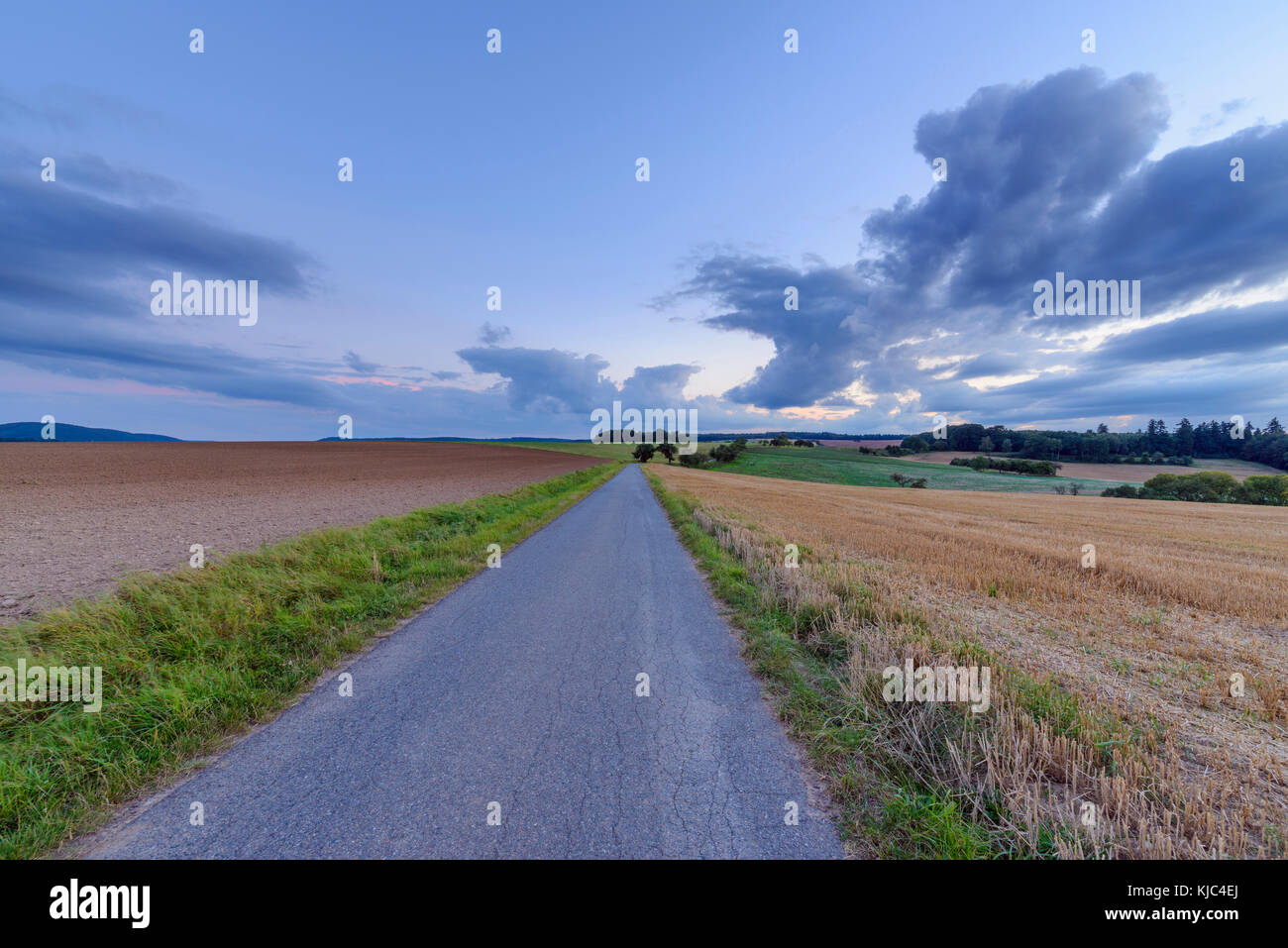 Countryside with harvested cereal field and paved laneway at dusk in ...