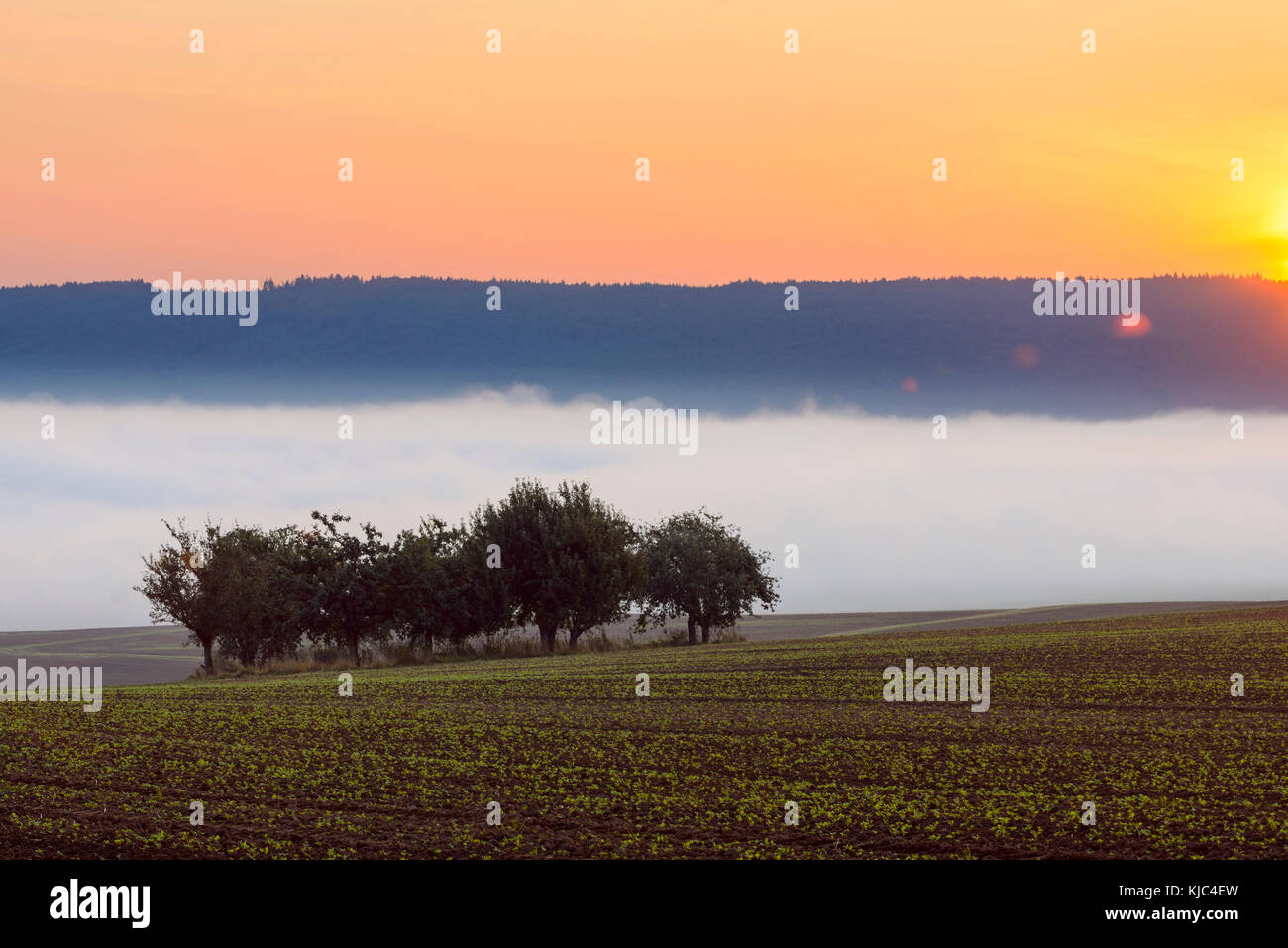 Countryside with morning mist and sunrise over fields in Grossheubach ...
