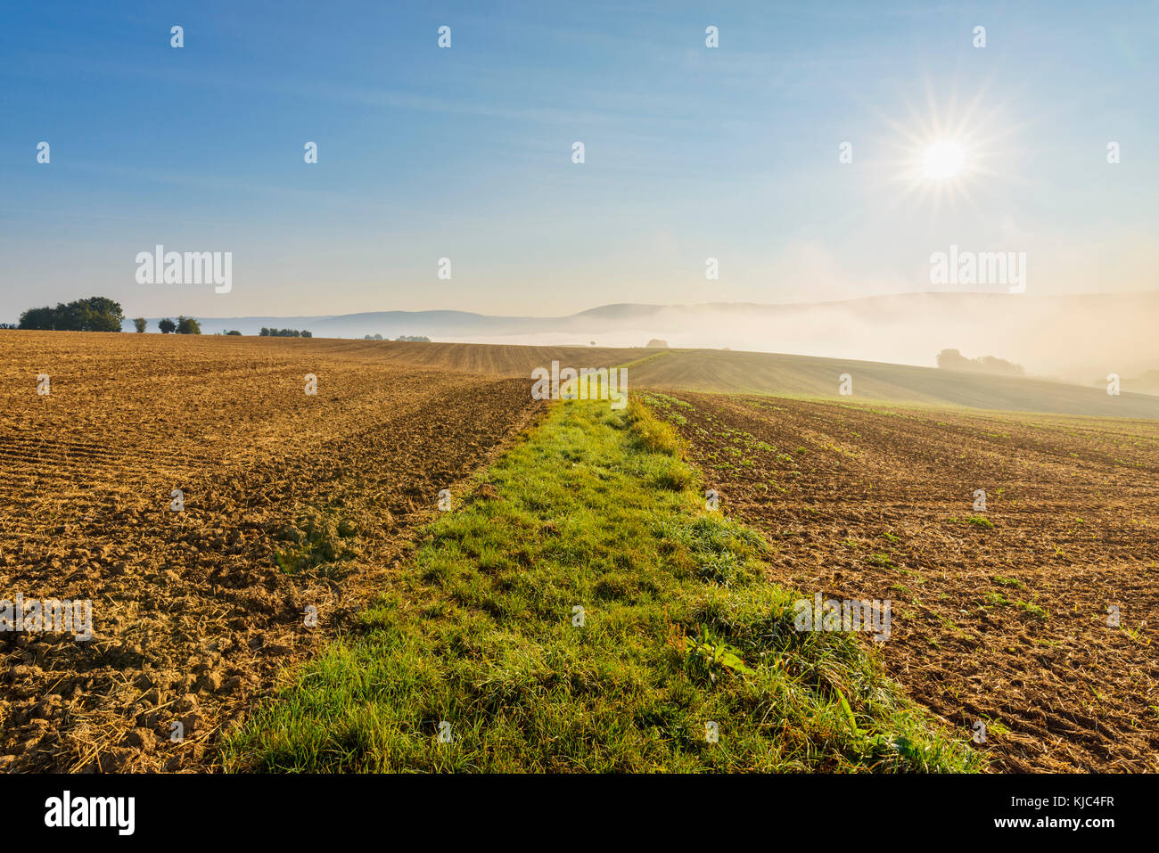 Grassy pathway through plowed fields with the sun and morning mist in ...