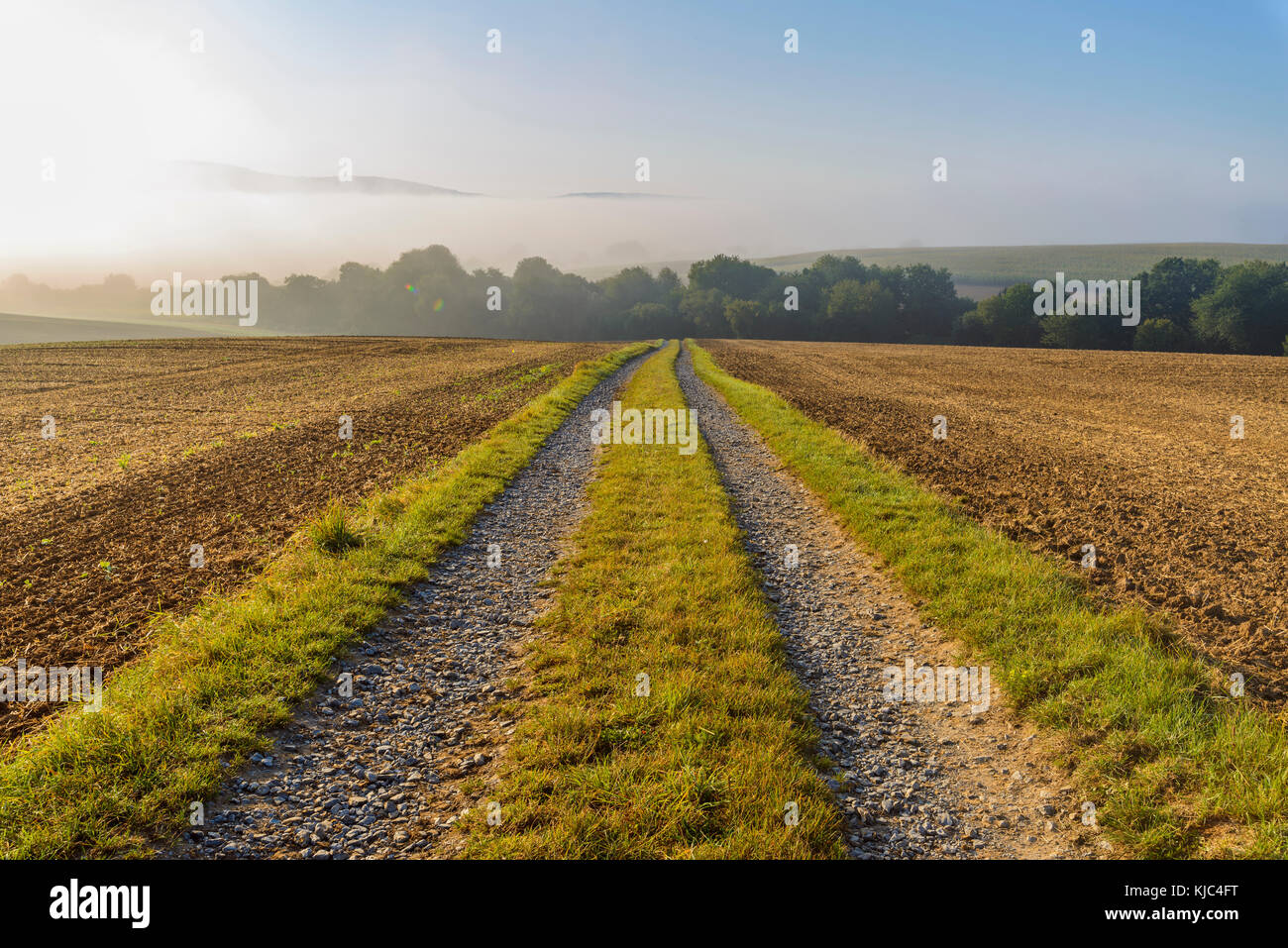 Countryside with dual track road path and morning mist in autumn in the ...