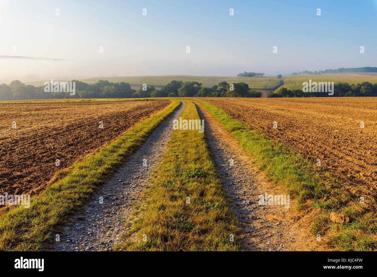 Dual Track High Resolution Stock Photography and Images - Alamy
