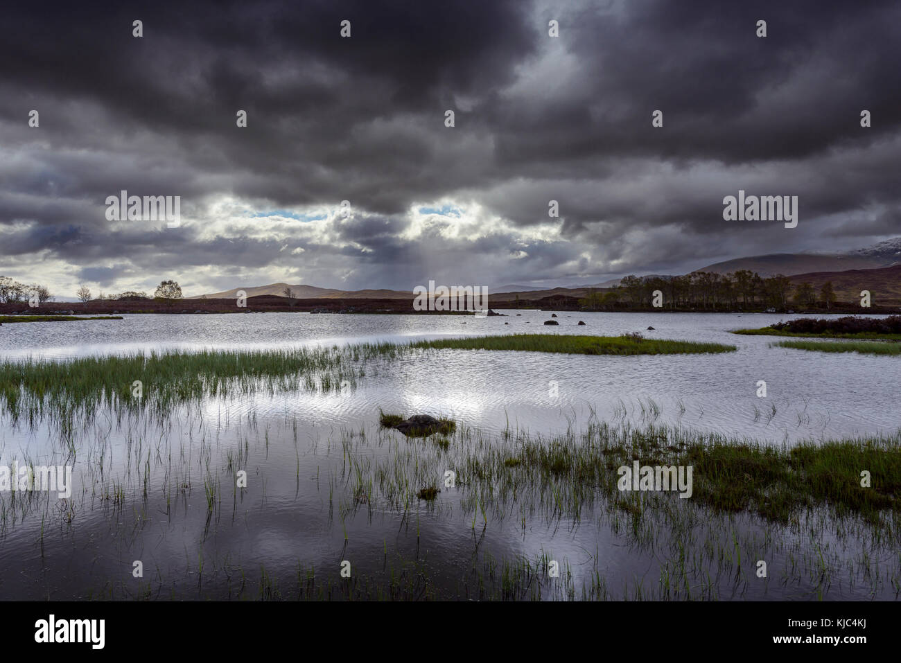 Moor landscape with lake and grassy patches and dark storm clouds at ...