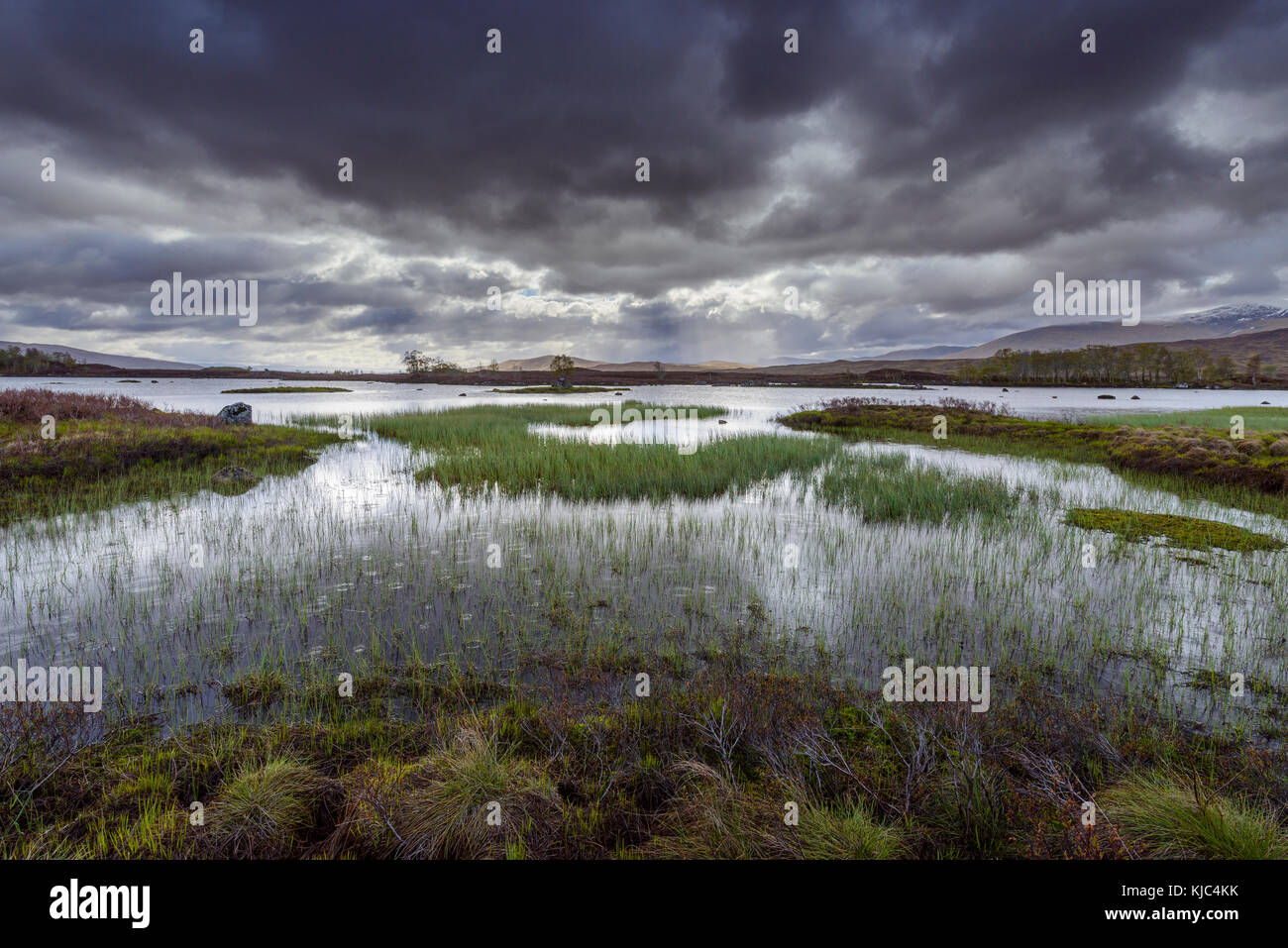 Moor landscape with lake and grassy patches and dark storm clouds at ...