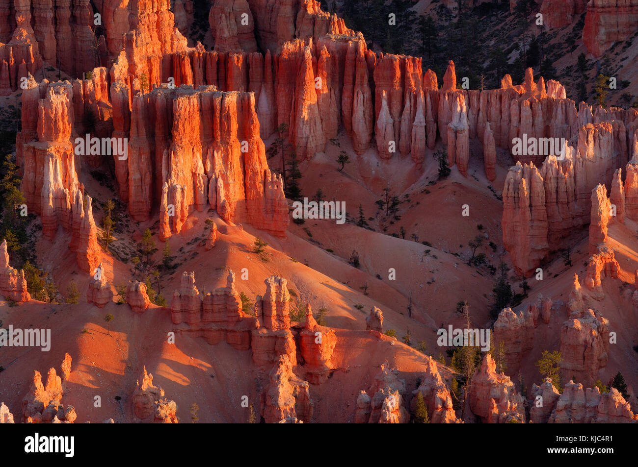 Overview of the Hoodoos of the Claron Formation at sunrise in Bryce ...