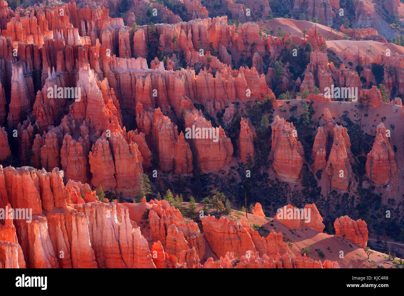 Overview of the Hoodoos of the Claron Formation at sunrise in Bryce ...