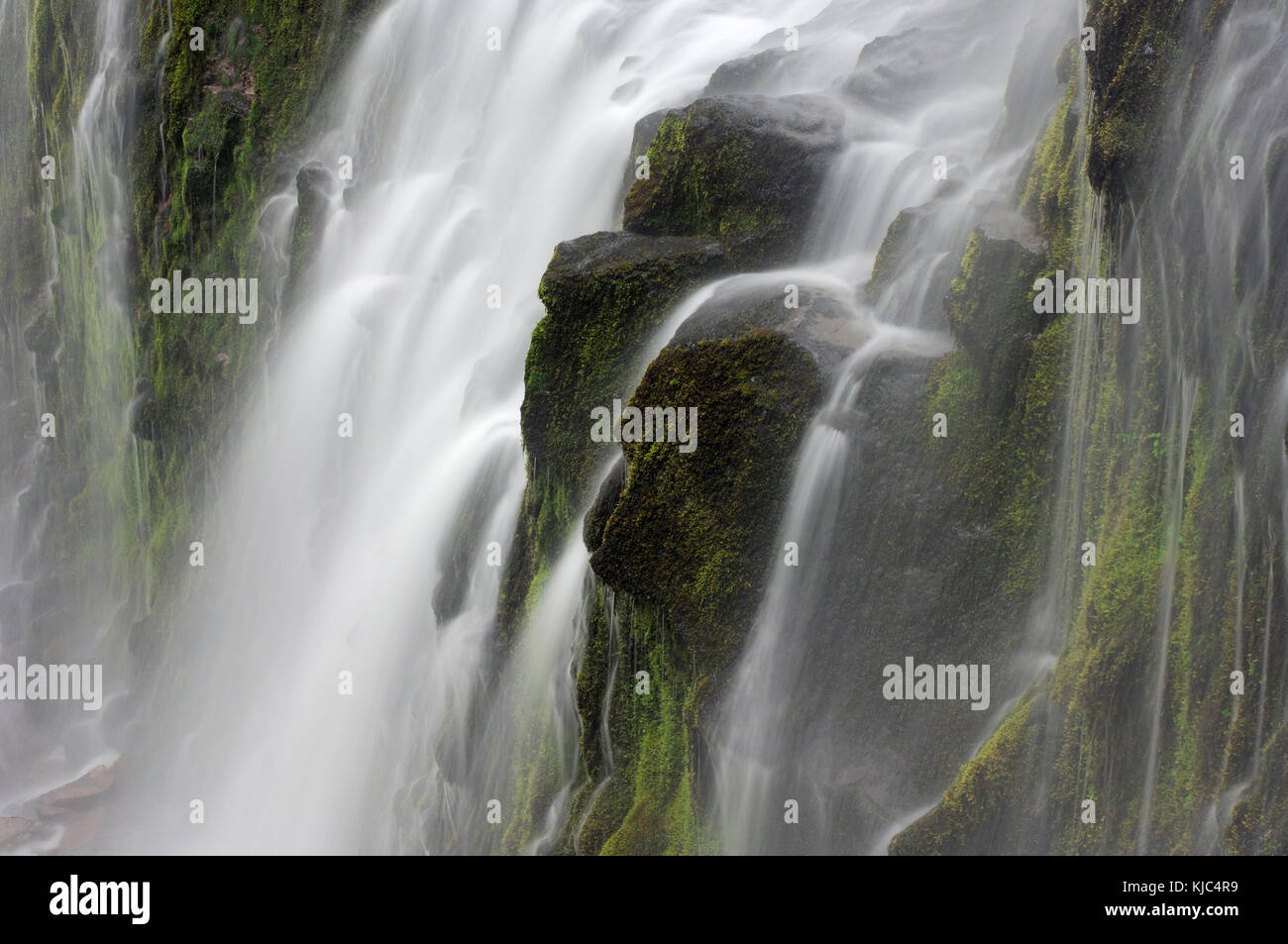 Close-up of the Poxy Falls cascading over basalt columns at Three ...