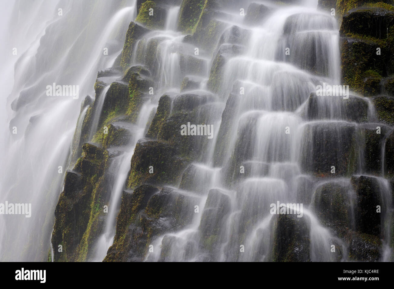 Close-up of the Proxy Falls cascading over basalt columns at Three ...