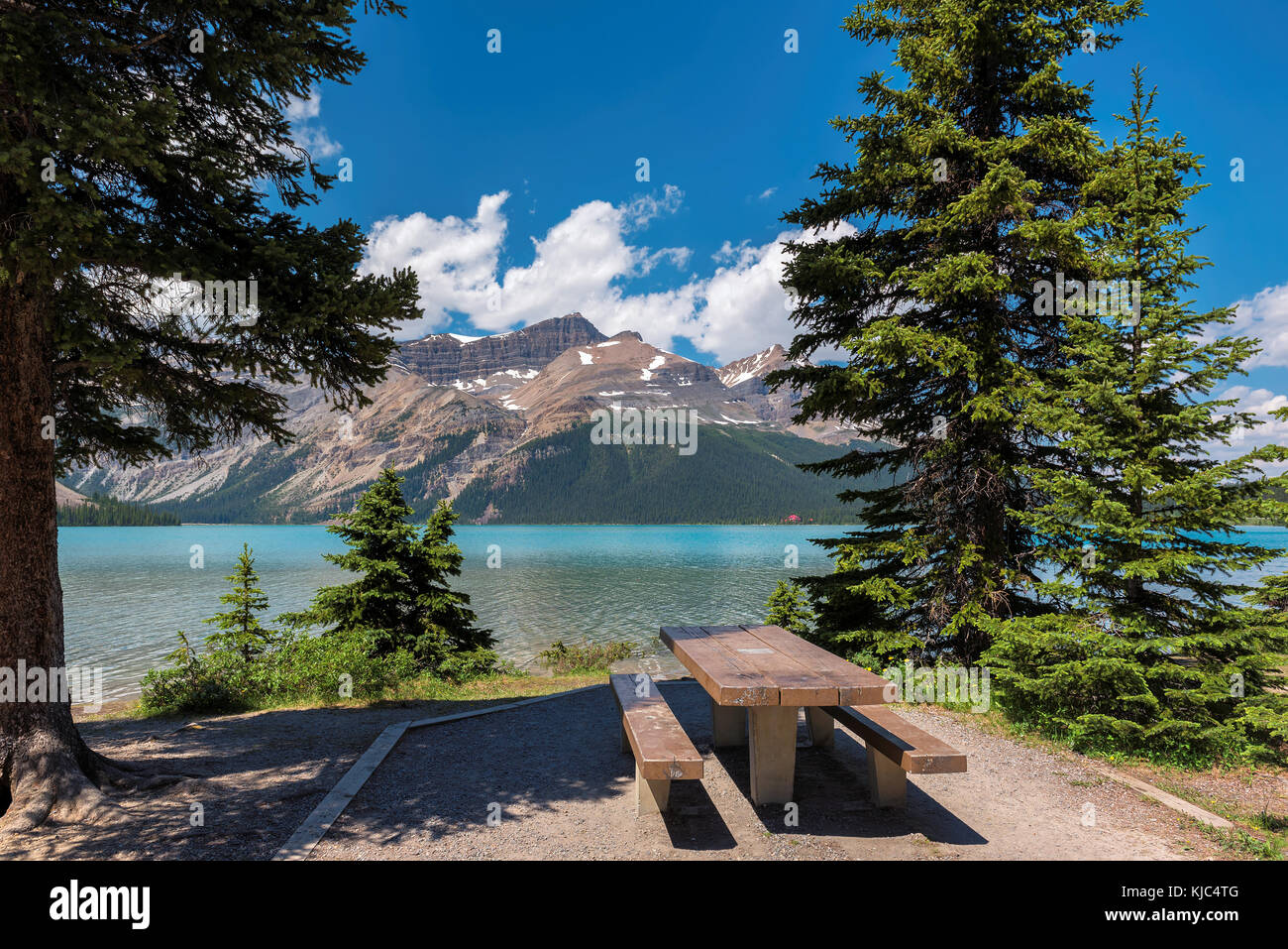 Forest park picnic area hi-res stock photography and images - Alamy