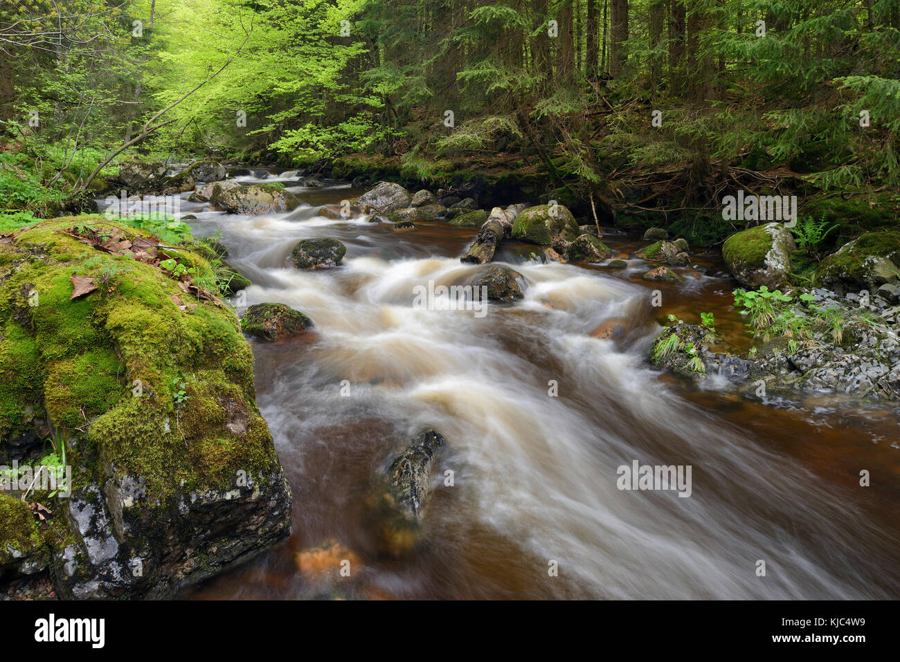 Bode river elendstal valley hi-res stock photography and images - Alamy