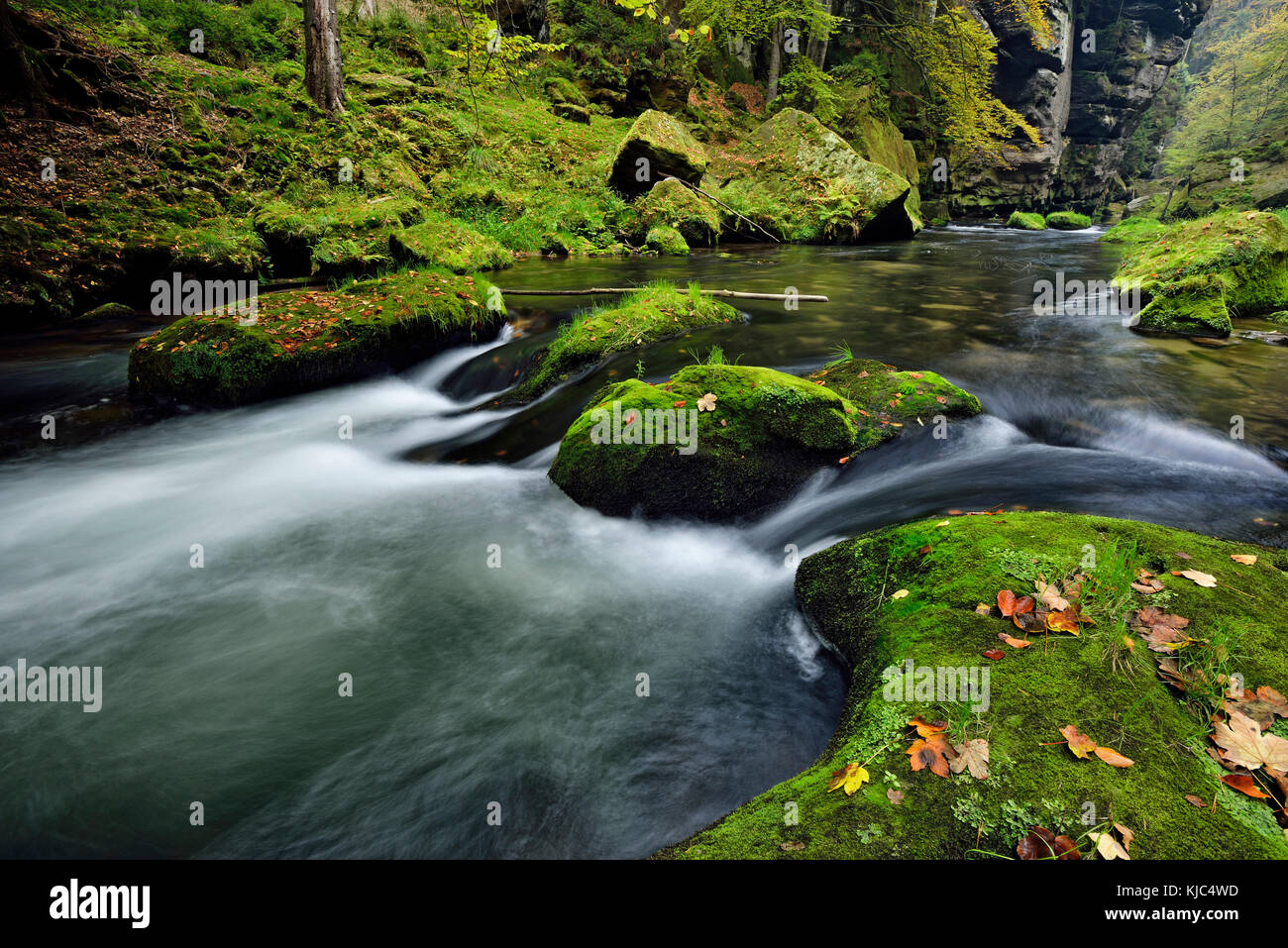 River Kamnitz (Kamenice) in the Edmundsklamm (Edmund Gorge) with mossy ...
