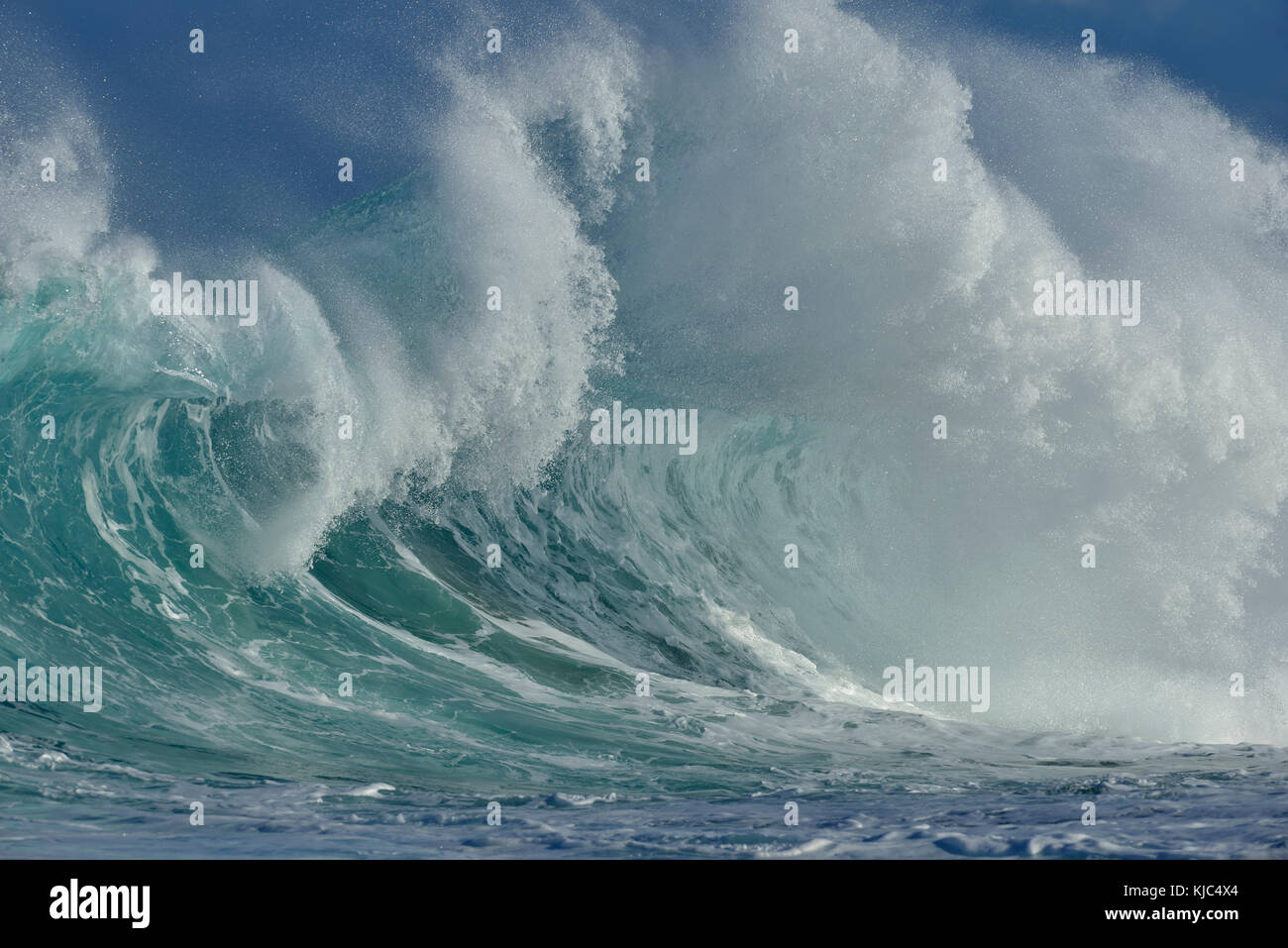 Big dramatic wave in the Pacific Ocean at Oahu, Hawaii, USA Stock Photo ...