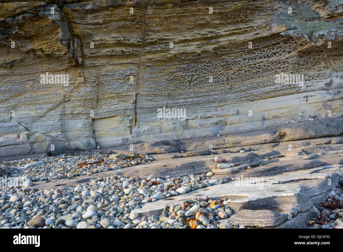 Close-up of rock face of sea cliff with honeycomb weathering at Loch ...