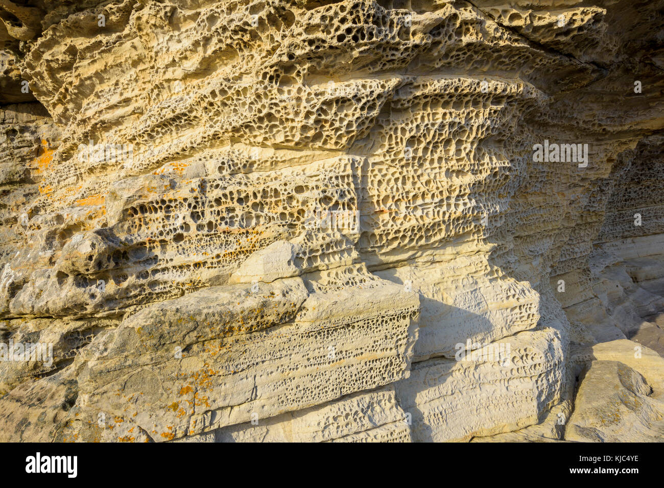 Close-up of sunlit rock face of sea cliff with honeycomb weathering at ...