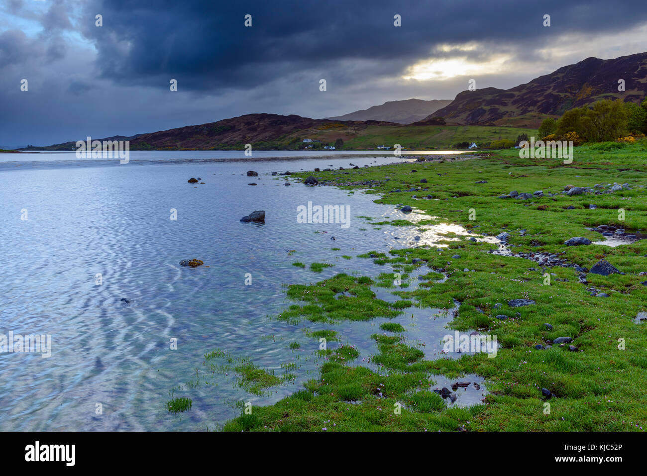 Grassy shoreline at sunrise along the Scottish coast near Eilean Donan ...
