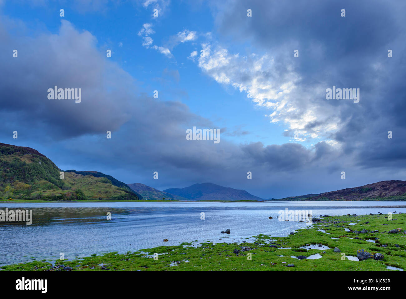 Grassy shoreline with dramatic clouds at sunrise along Scottish coast ...