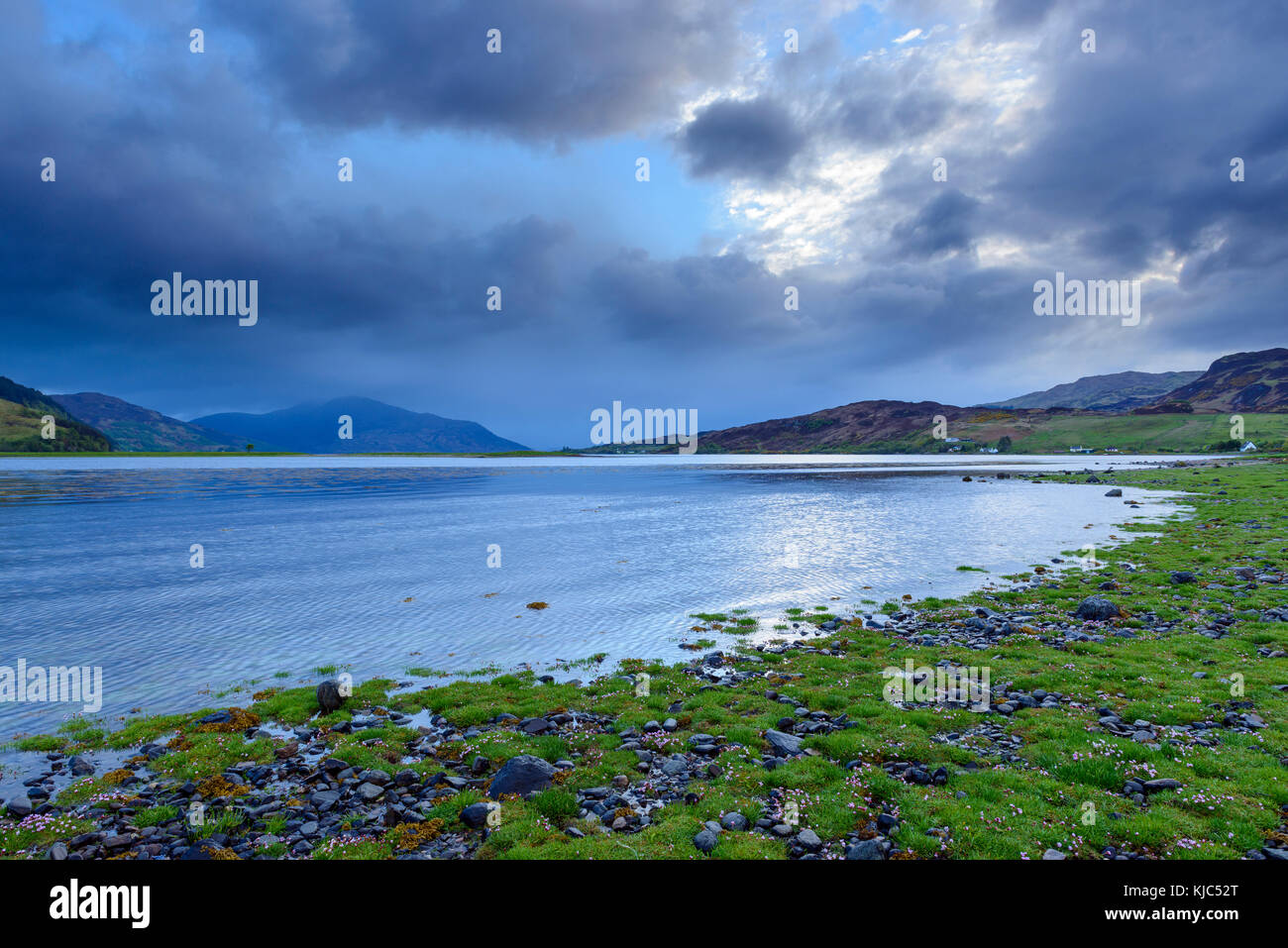 Grassy shoreline with dramatic clouds at sunrise along Scottish coast ...