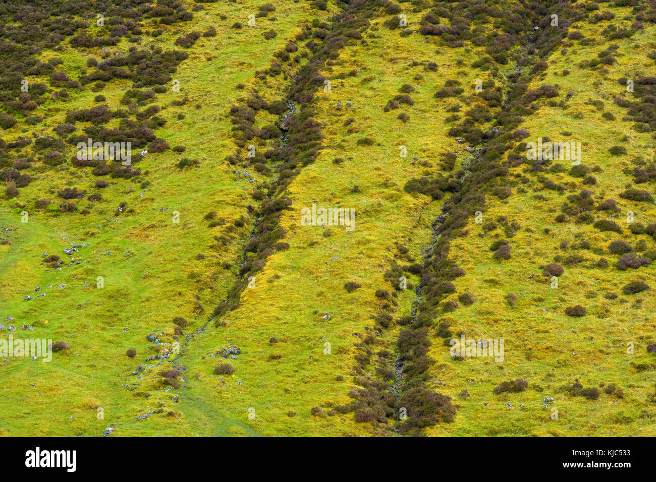 Elevated view of a grassy mountain slope in spring in Scotland, United ...