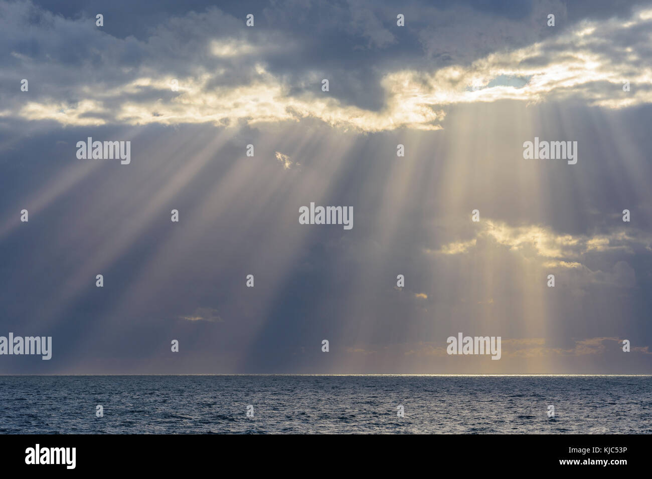 Crepuscular sunrays shining through the clouds over the North Sea ...