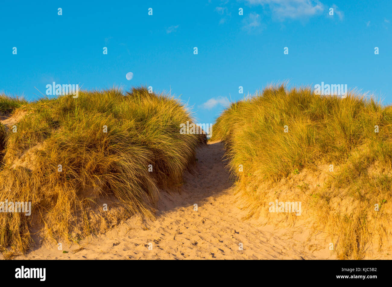 Path through sand dunes and moon in the bright morning sky at the North ...