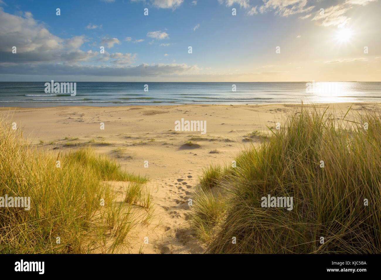 Path through sand dunes at sunrise over the North Sea at Bamburgh in ...