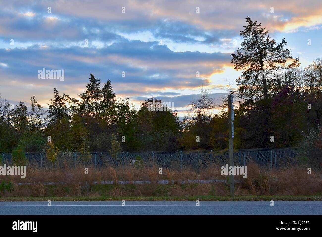 Sun setting behind trees Stock Photo - Alamy