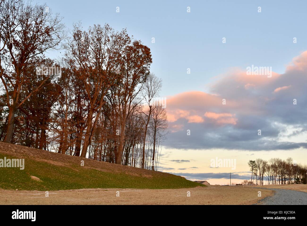 Sun setting behind trees Stock Photo - Alamy