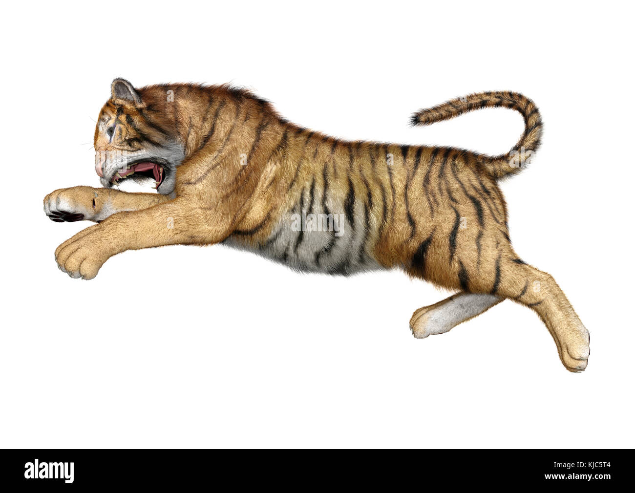 3D rendering of a big cat tiger isolated on white background Stock ...